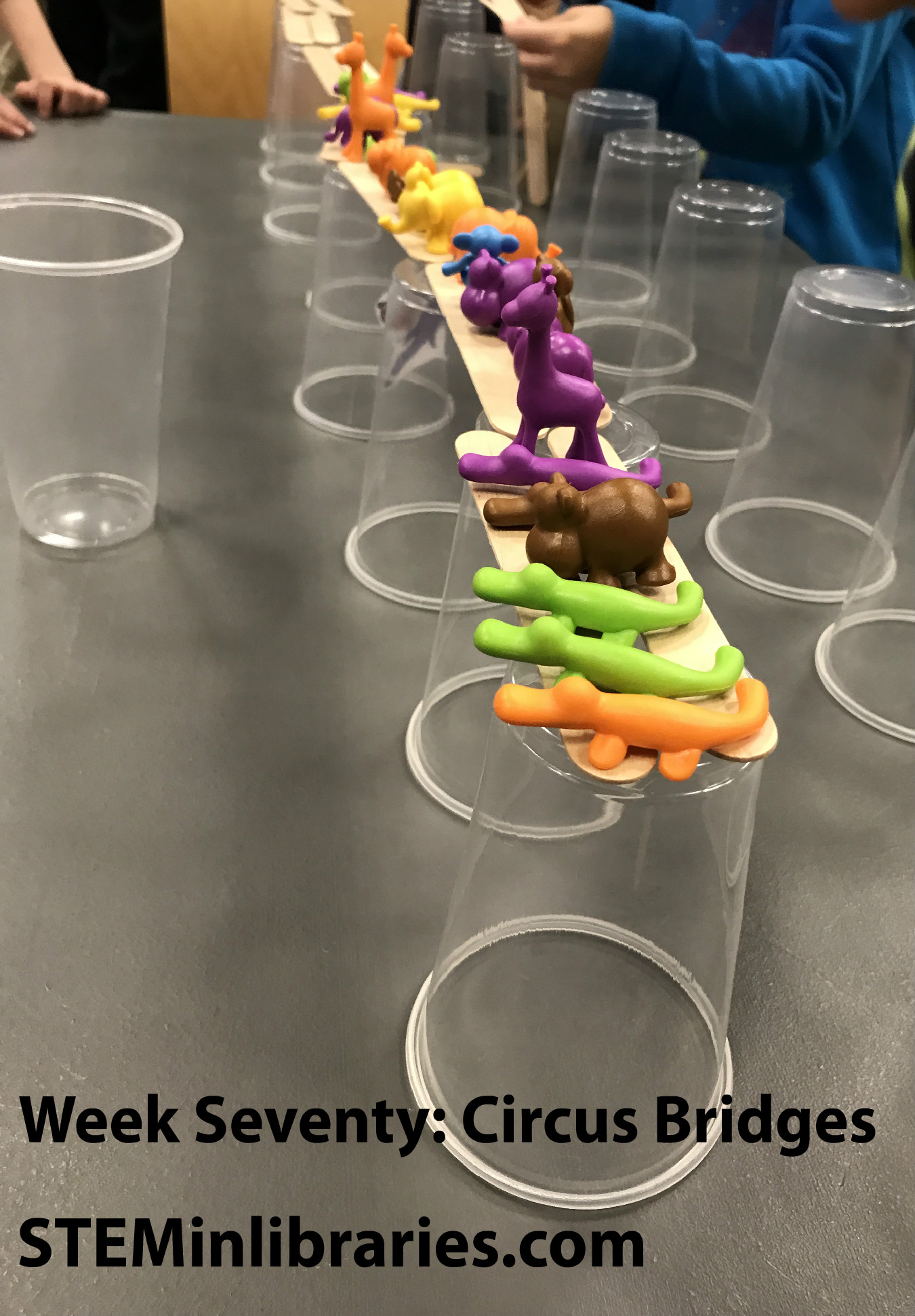 STEM in Libraries | We're Scientists… Library Scientists
