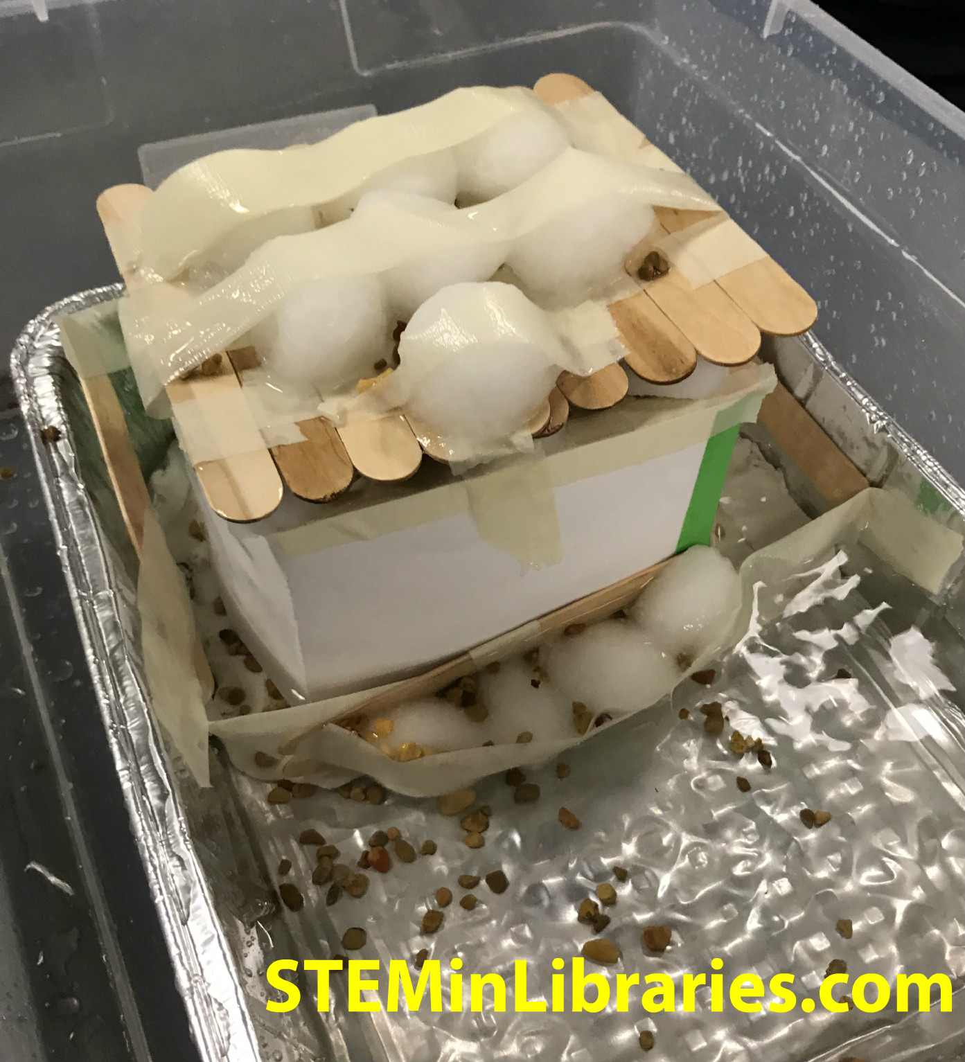 Week Seventy-Five: Wild and Extreme Weather | STEM in Libraries